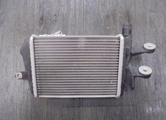 Radiator BMW R 1250 GS 2021-2022 | 201593754 | Motorparts-online.com